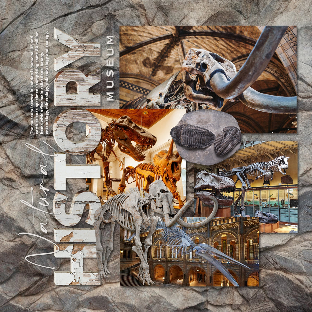 Museum Natural History Digital Scrapbook Kit – Lucky Girl Creative