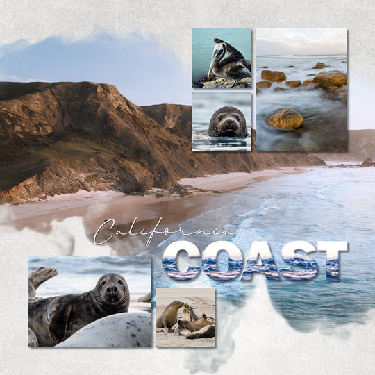 Grunge Metal Alpha Digital Scrapbook Bundle – Lucky Girl Creative