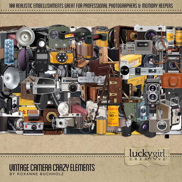 Vintage Camera Crazy Elements Digital Scrapbook Kit – Lucky Girl Creative